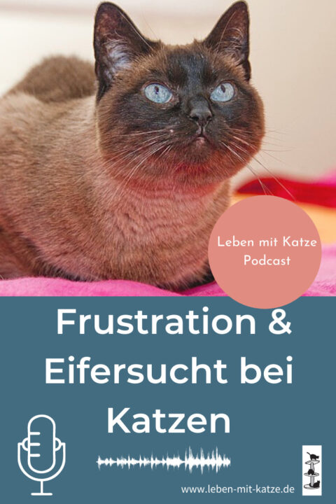 Folge 021 - Gefühle von Katzen (2): Frustration & Eifersucht ...